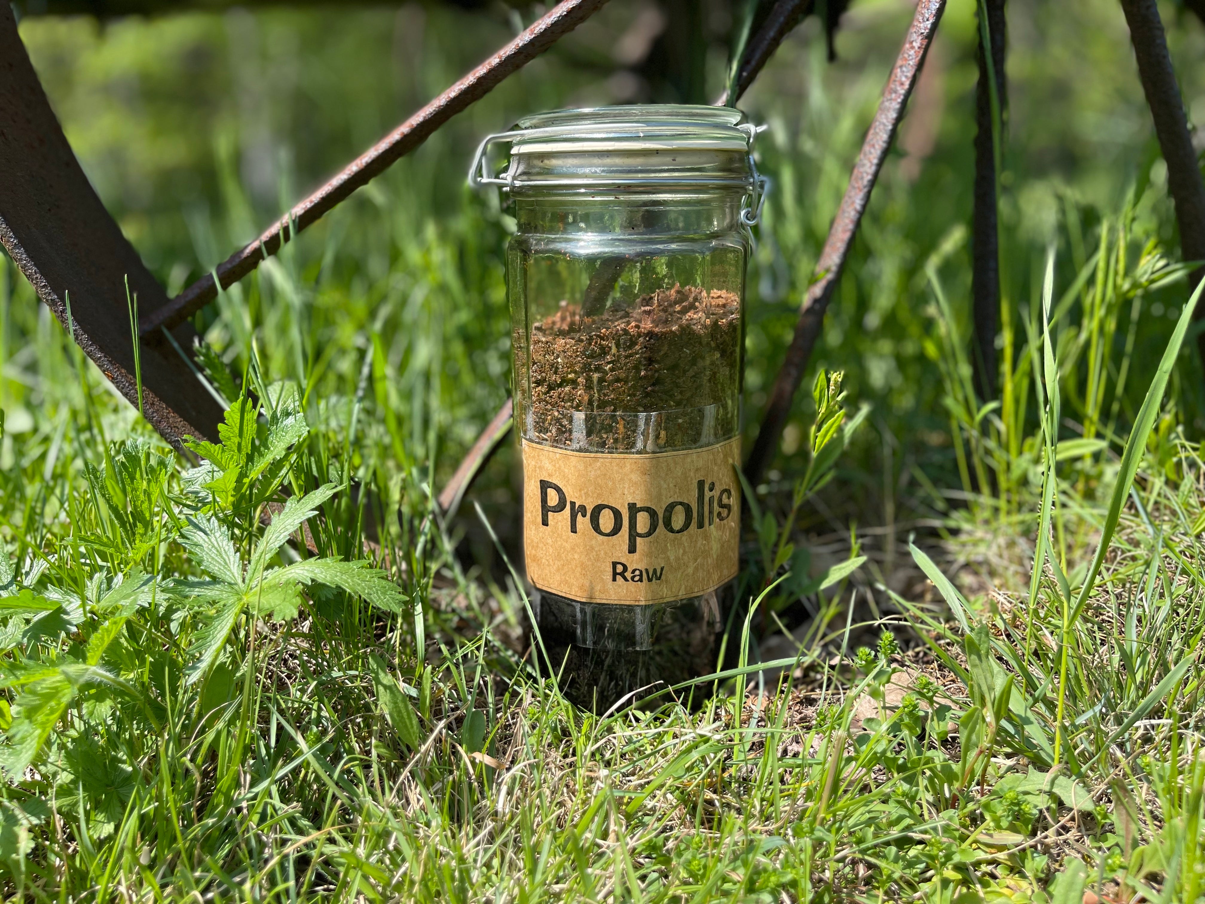 Propolis – Beehive Botanicals